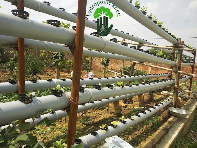 Hydroponic Kheti | Hydroponic Kheti Tools | Hydroponic Kheti In Ranchi ...