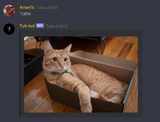 Send Random Cat Images.