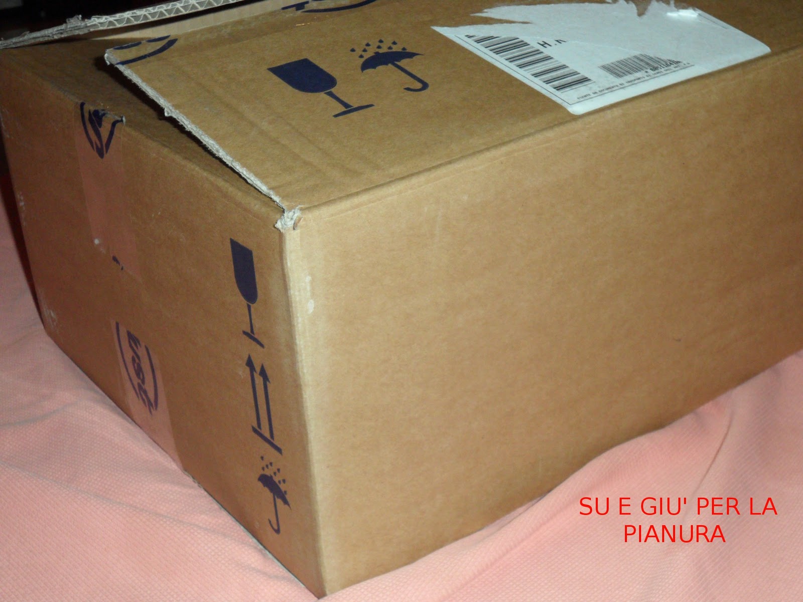 Su e giu per la Pianura Padana: 2011