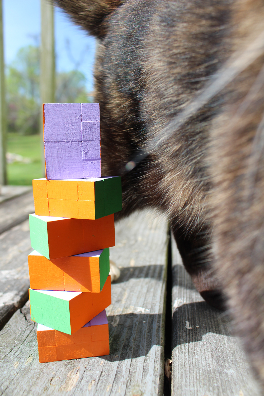 Craft Knife: A DIY Binomial Cube/Trinomial Cube Manipulative