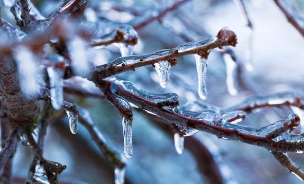 Top2040: Top 20 Winter Horror Movies: Scary Movies in Snow