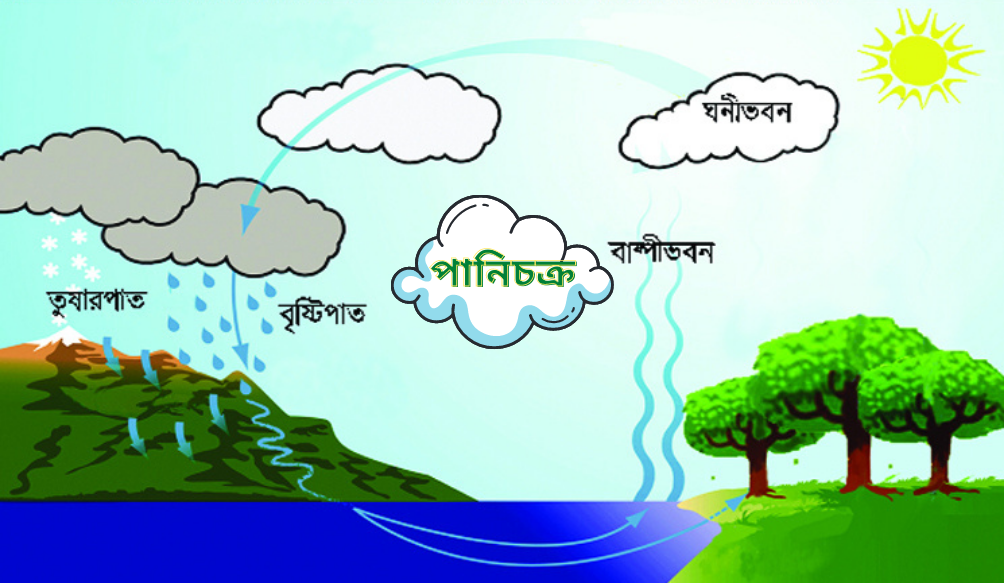 Water Cycle in Quran - কুরআনের বর্ণনায় পানিচক্র