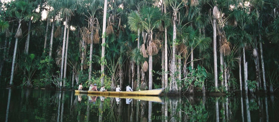 Scientia Antiquitatis: Perù: I Piro di Diamante, la tribù Yine.