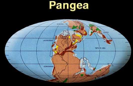 EL CAJON DE LOS CONOCIMIENTOS: PANGEA