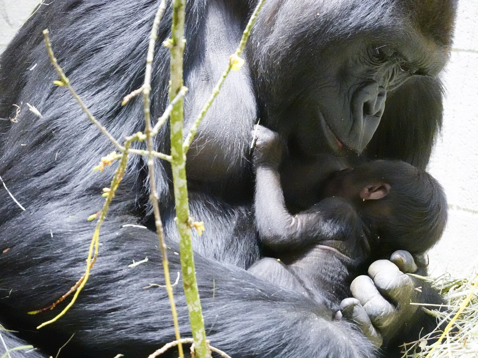 Uzumma and baby thriving and bonding