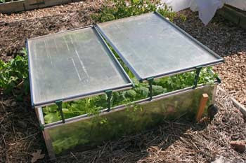 Ozarks Gardening: Winter Cold Frames