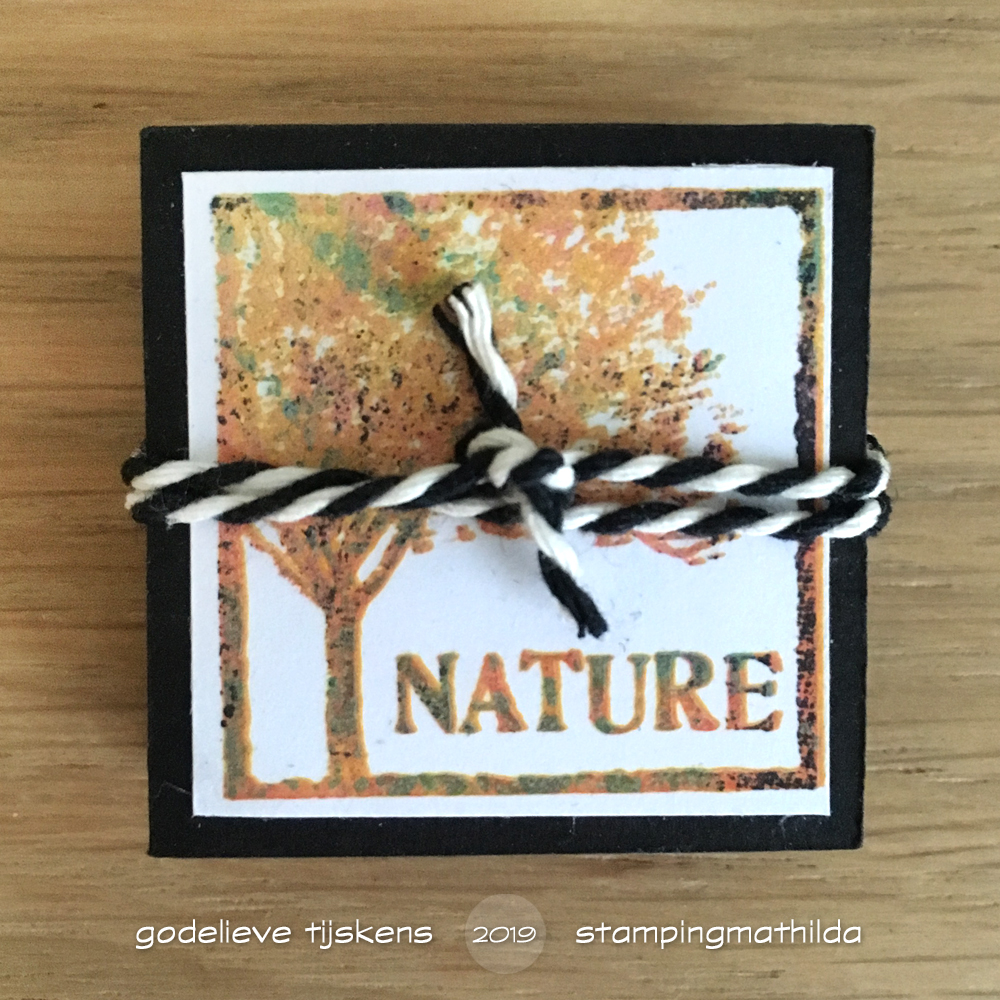 StampingMathilda: Mini Explosion Book