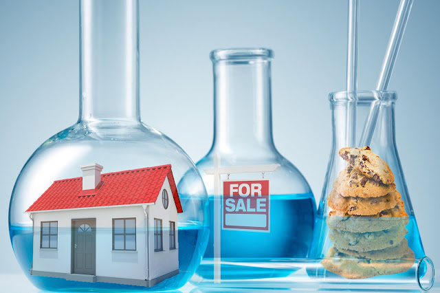 Savvy Lane Blog: The Sneaky Science of Selling Your Home Revealed