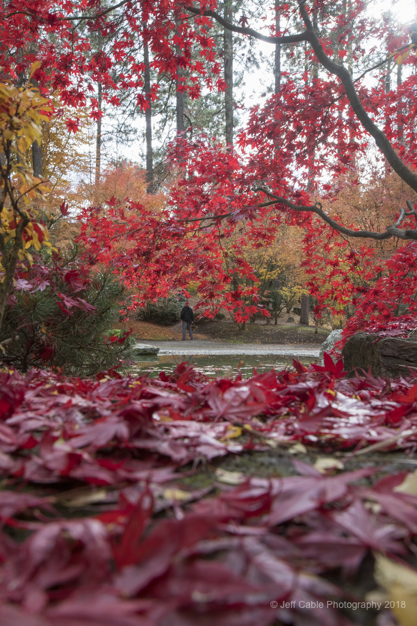 Jeff Cable's Blog: The fall colors of Spokane, Washington and the river ...