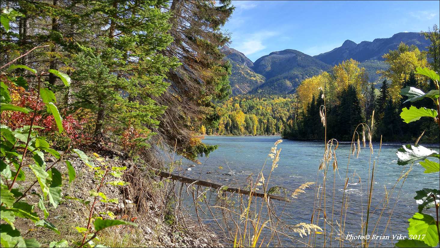 Northern Interior British Columbia: Autumn Aspen Recreation Site Morice ...