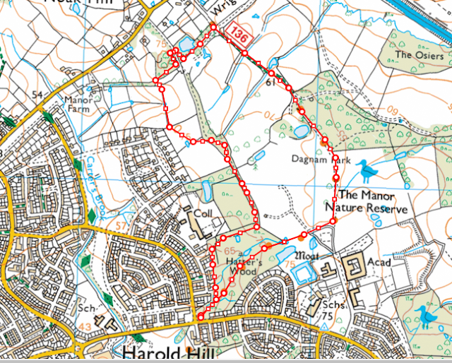 My Adventures 3: Bluebell Walk , The Manor Harold Hill 14th April 2020