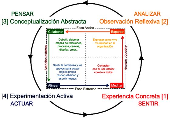 Pensamiento Administrativo: Organizaciones que aprenden: Las 4 fases del modelo de aprendizaje ...