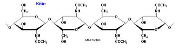 Karbohidrat Lazim dan Sifat Fisisnya - Inspirasi Indonesia