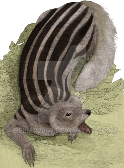 Abe's Animals: Eupleridae