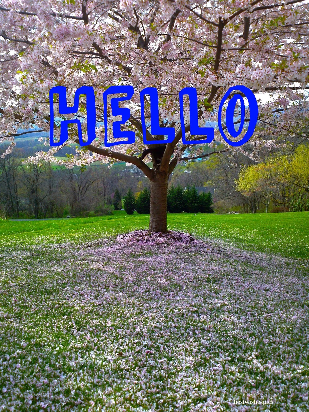 Top 10 Hello Images, Greetings, Pictures for whatsapp Facebook - Good ...