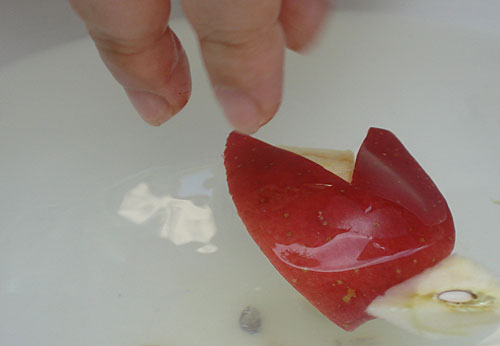 Just Another Static Heart: Bento Journey: Apple Rabbit Tutorial