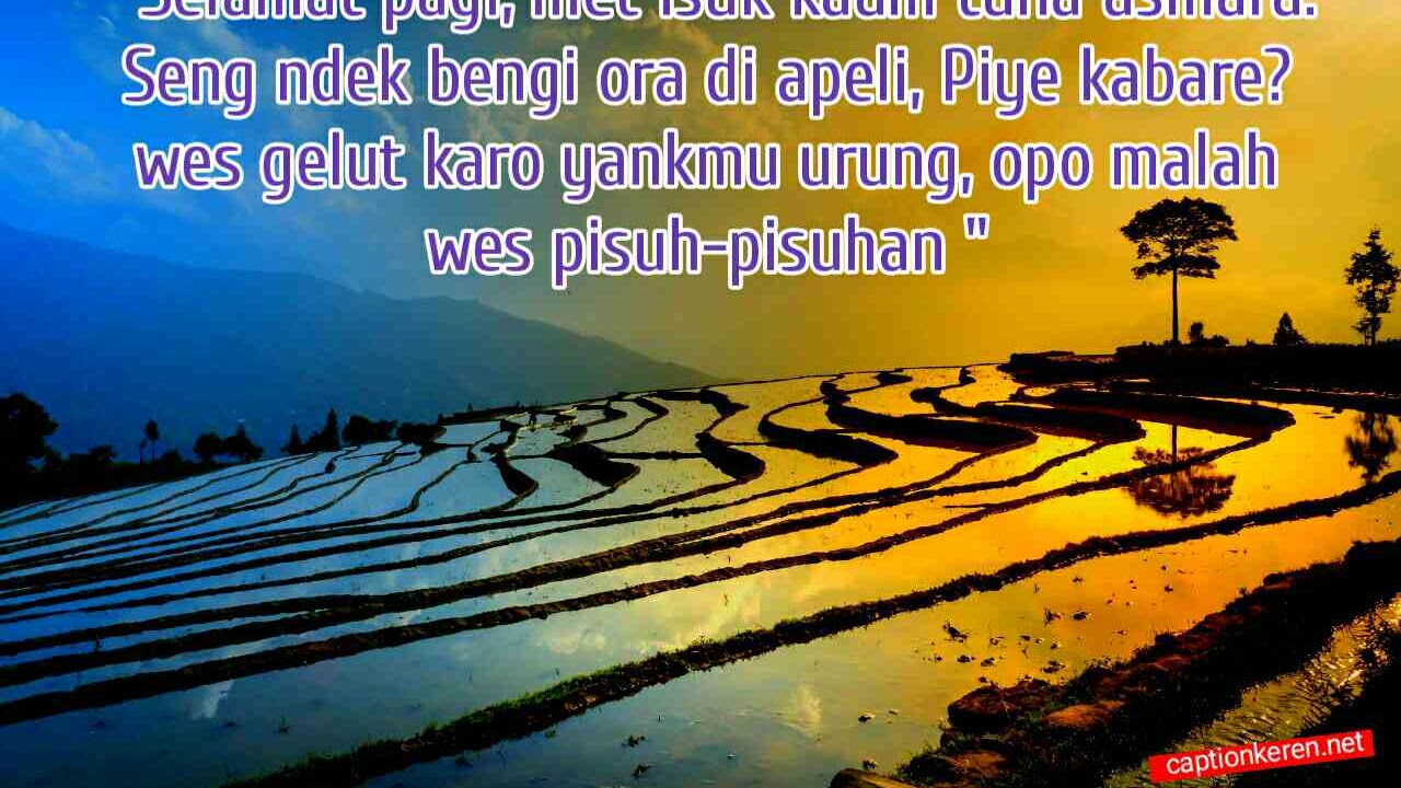 34+ Kata Mutiara Pagi Hari Bahasa Jawa - Chika Ciku