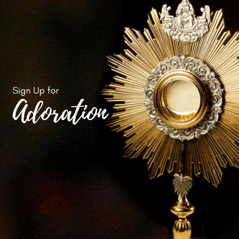 Catholic News World : 11/23/19