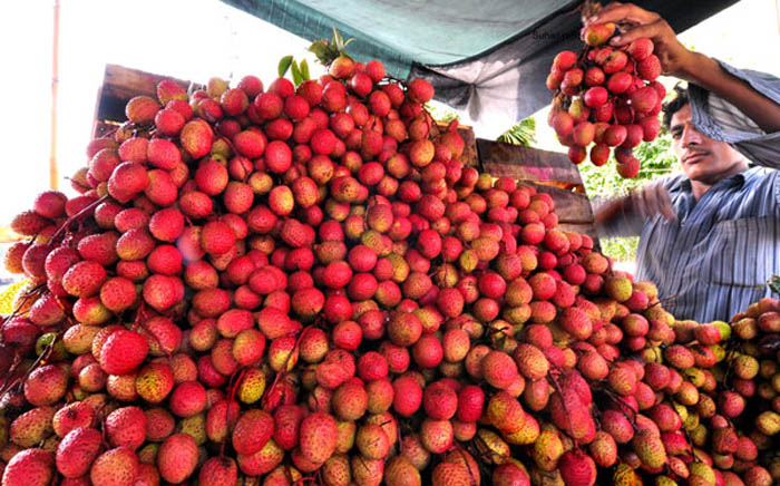 Welcome To Pakistan: Fruits and Crops