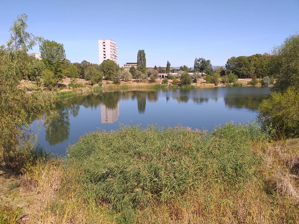 Езерото в "Дружба" 1 (ФОТОГАЛЕРИЯ)