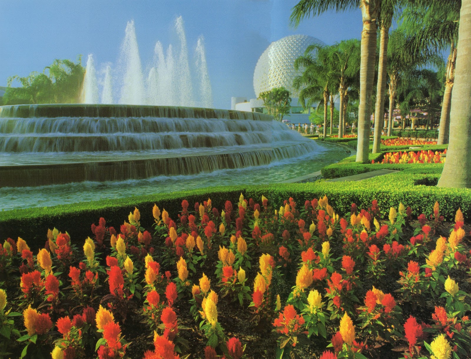 Disney Avenue: 94 BEAUTIFUL Photos of Walt Disney World's Magical Gardens