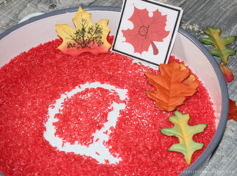 Fall Leaf sensory Bin - Messy Little Monster