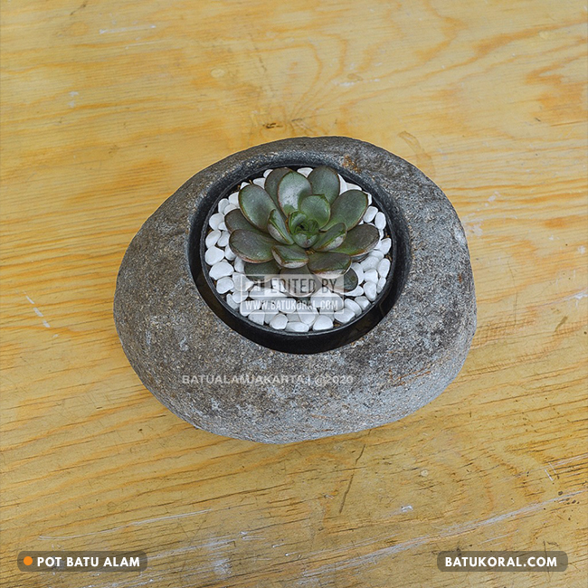 Maksimalkan Tampilan Tanaman Hiasmu Dengan Pot Dari Batu Kali ~ JUAL ...