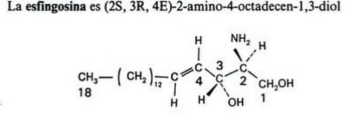 Biomoleculas: LÍPIDOS