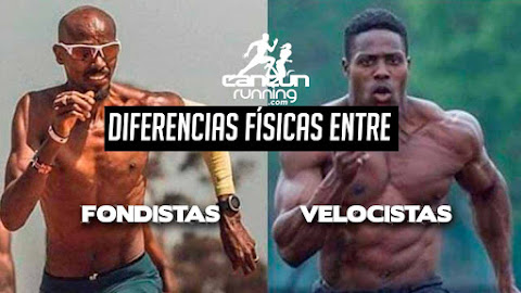 ¿Velocista vs Maratonista? Una gran diferencia de cuerpos - Cancún ...