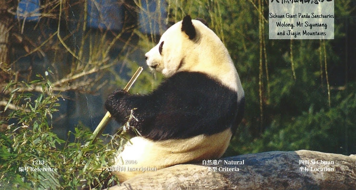 MY POSTCARD-PAGE: CHINA ~ Sichuan Giant Panda Sanctuaries - UNESCO