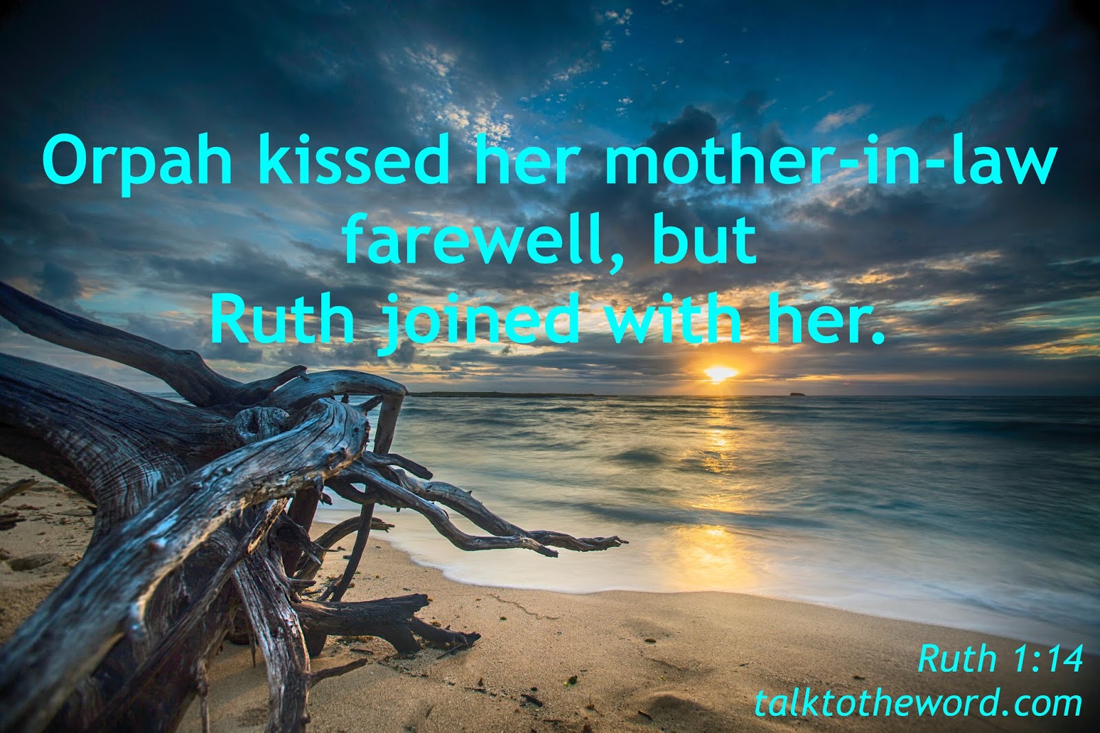 PIB Ruth 1-4 Posters