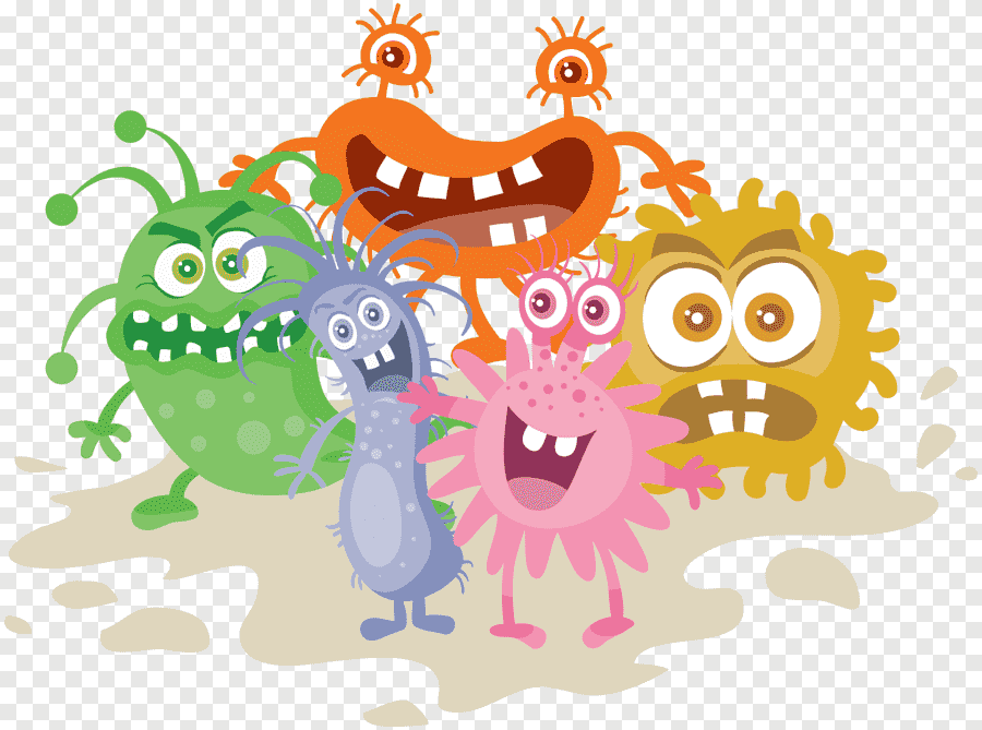 Pensar es Ciencia: EL REINO MÓNERAS (1º ESO)