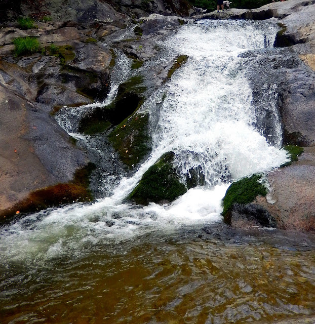 Hiking with a Fat Bald White Guy: Wilson Creek - Gragg Prong Falls