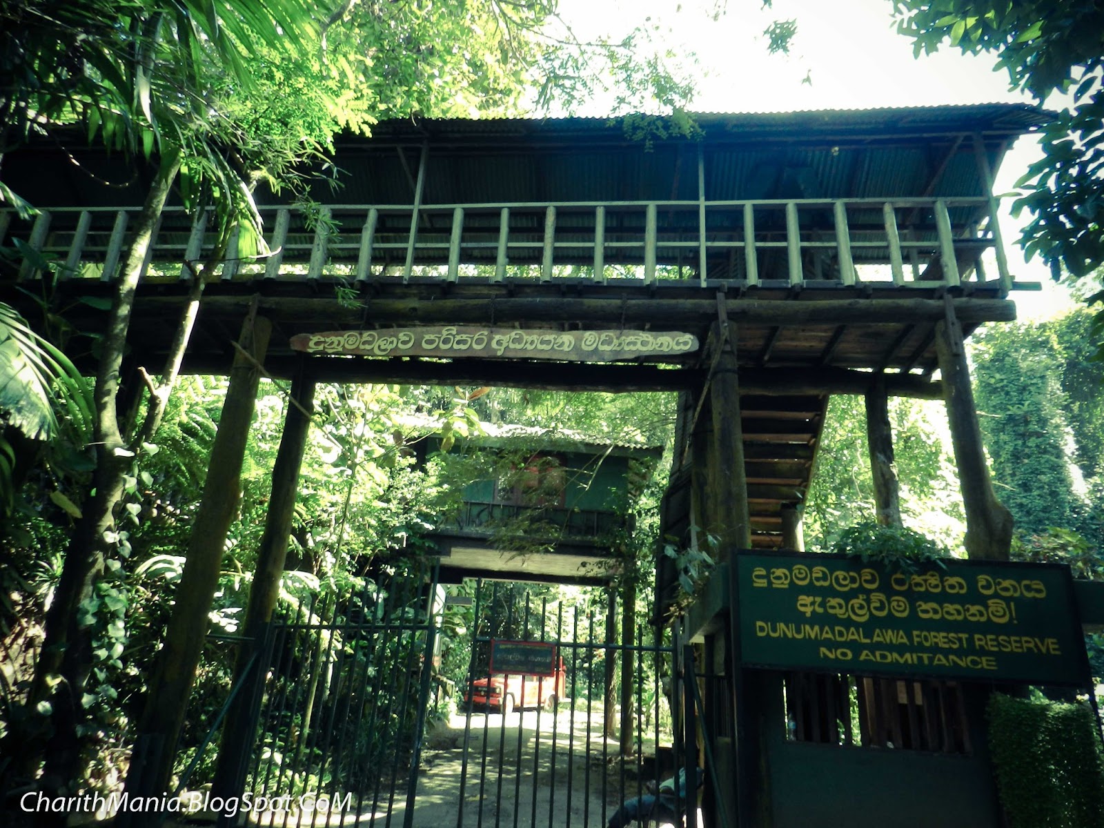 CharithMania: "Dunumadalawa Forest Kandy,දුනුමඬලාව රක්ෂිතය"