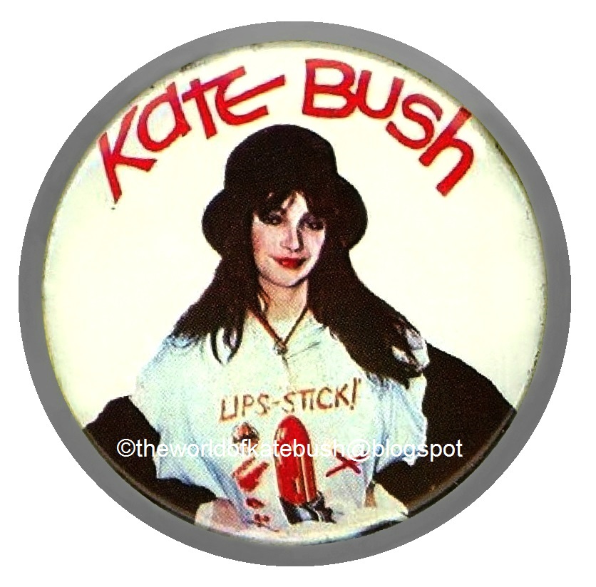THE WORLD OF KATE BUSH: Badges