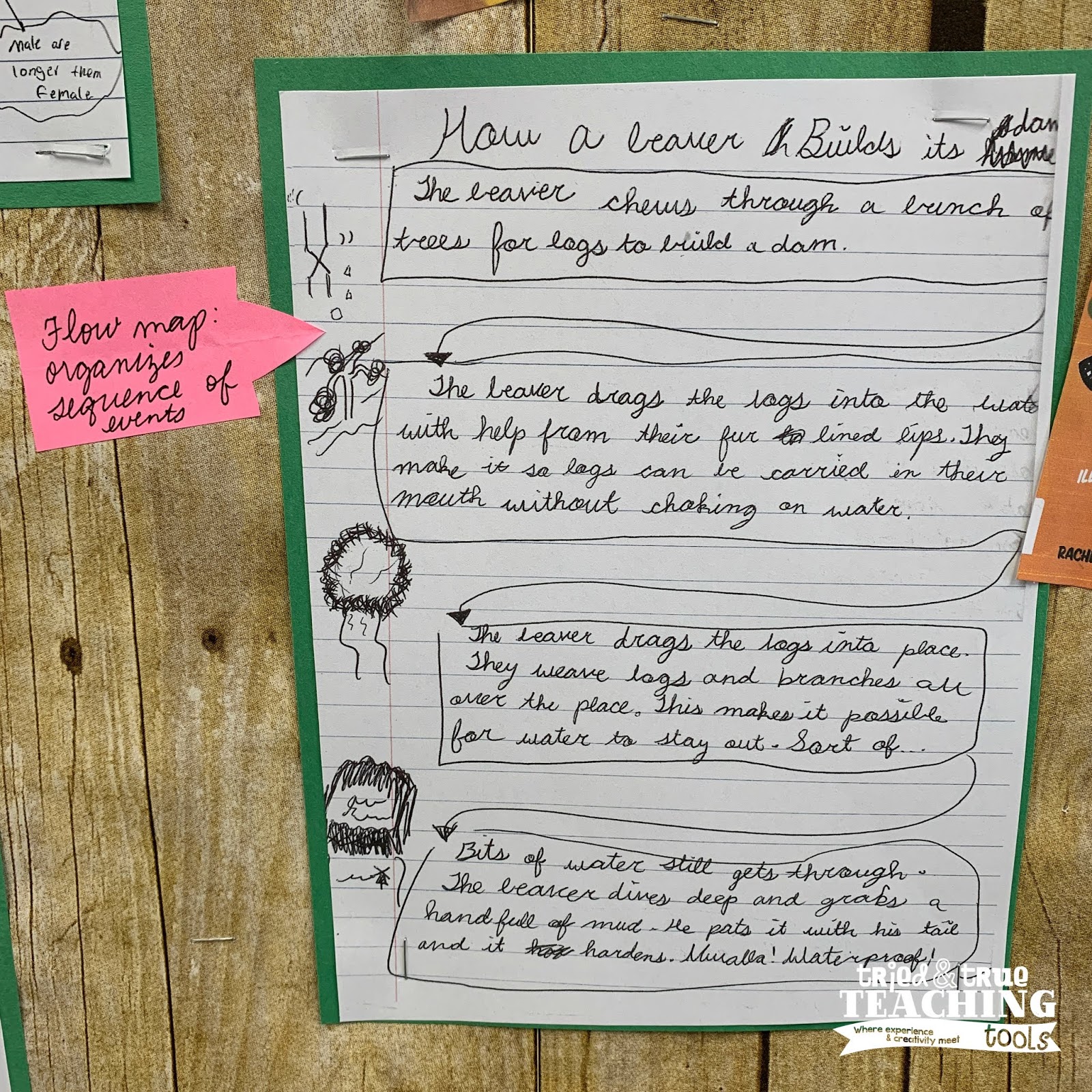 Teaching Effective Note-Taking