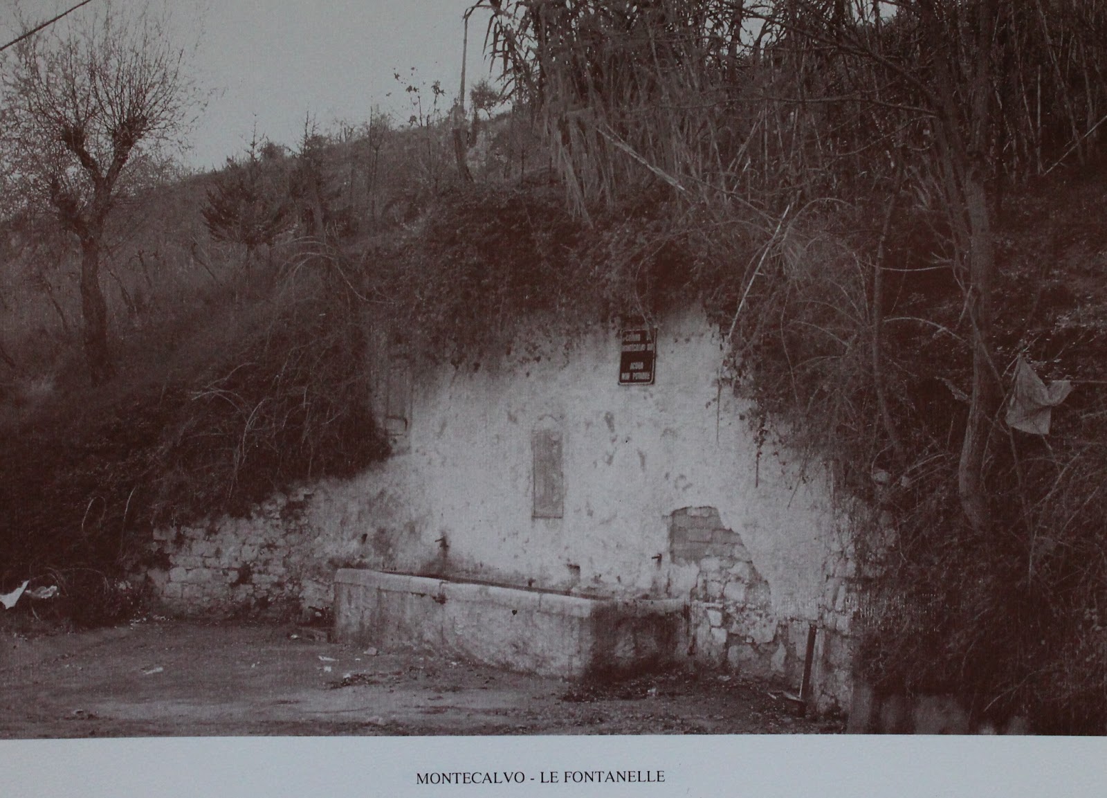 Montecalvo e dintorni...: Fontane nel territorio montecalvese.