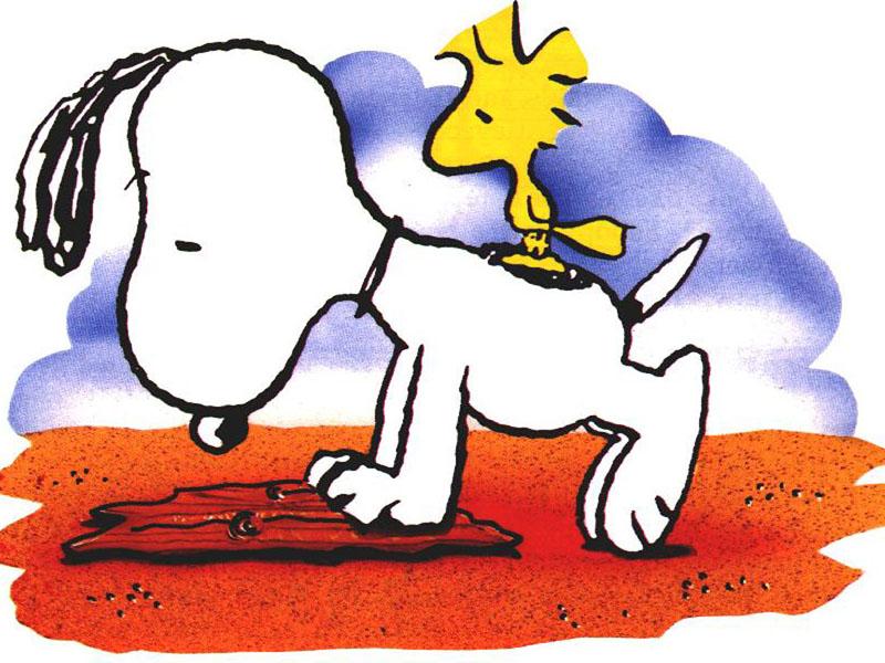 Universo HQ: SNOOPY - PEANUTS Universo HQ: SNOOPY - PEANUTS