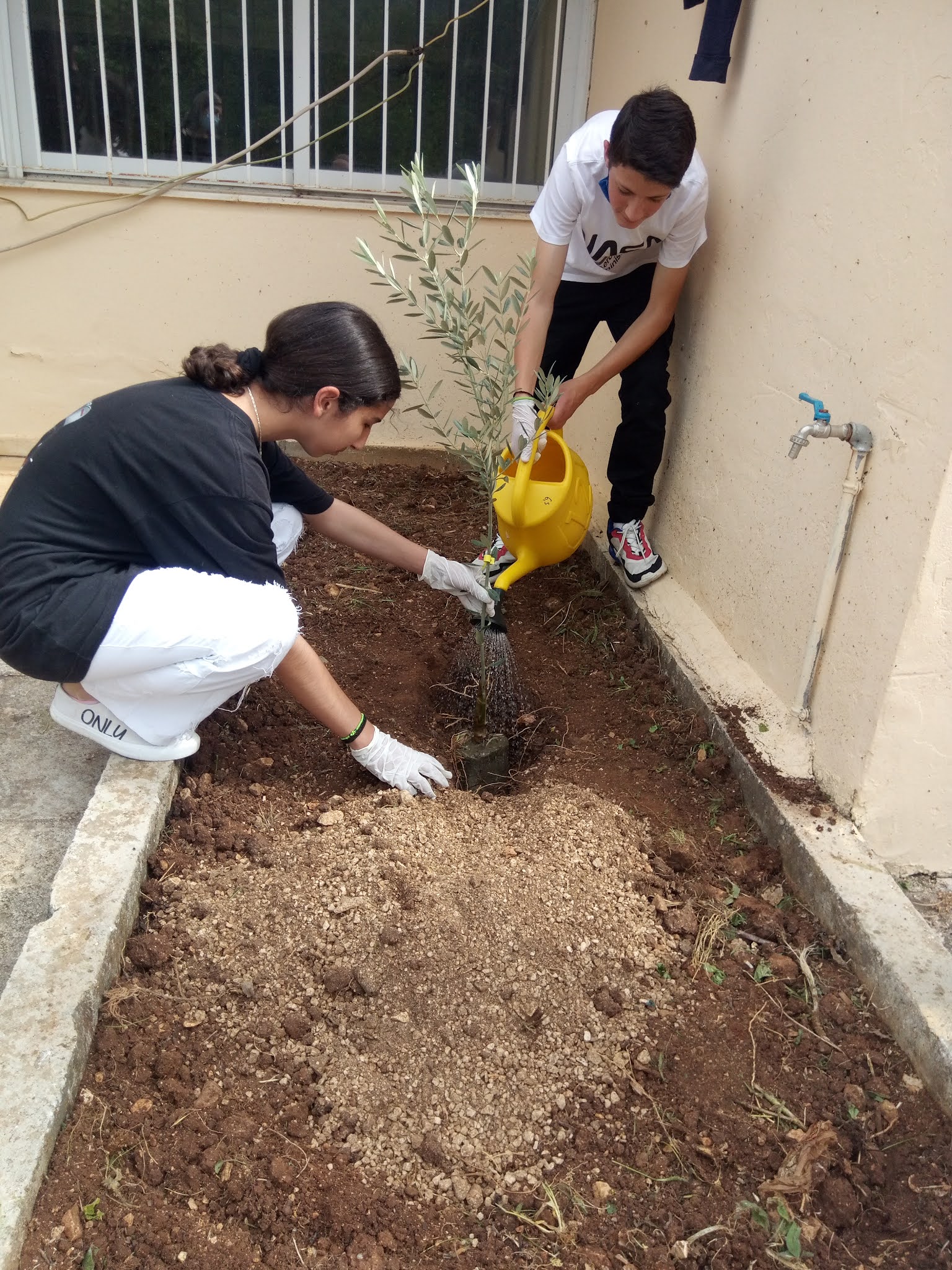 ΓΥΜΝΑΣΙΟ ΔΕΛΒΙΝΑΚΙΟΥ