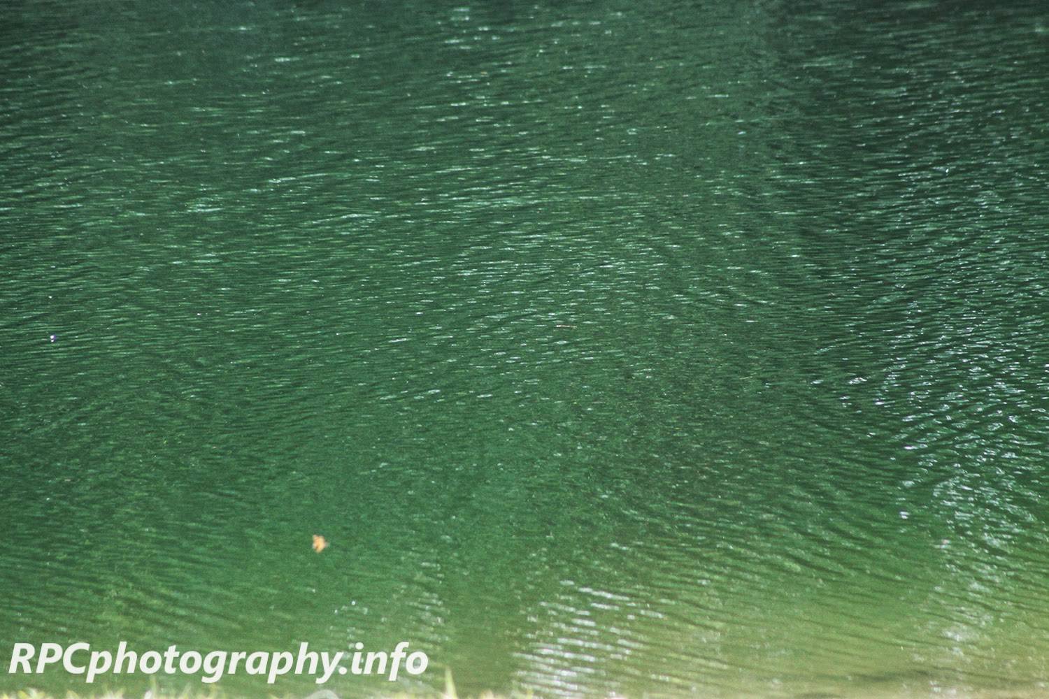 R.p.C Photography: John Conner Nature Preserve Trail Park (AKA Smalleys ...