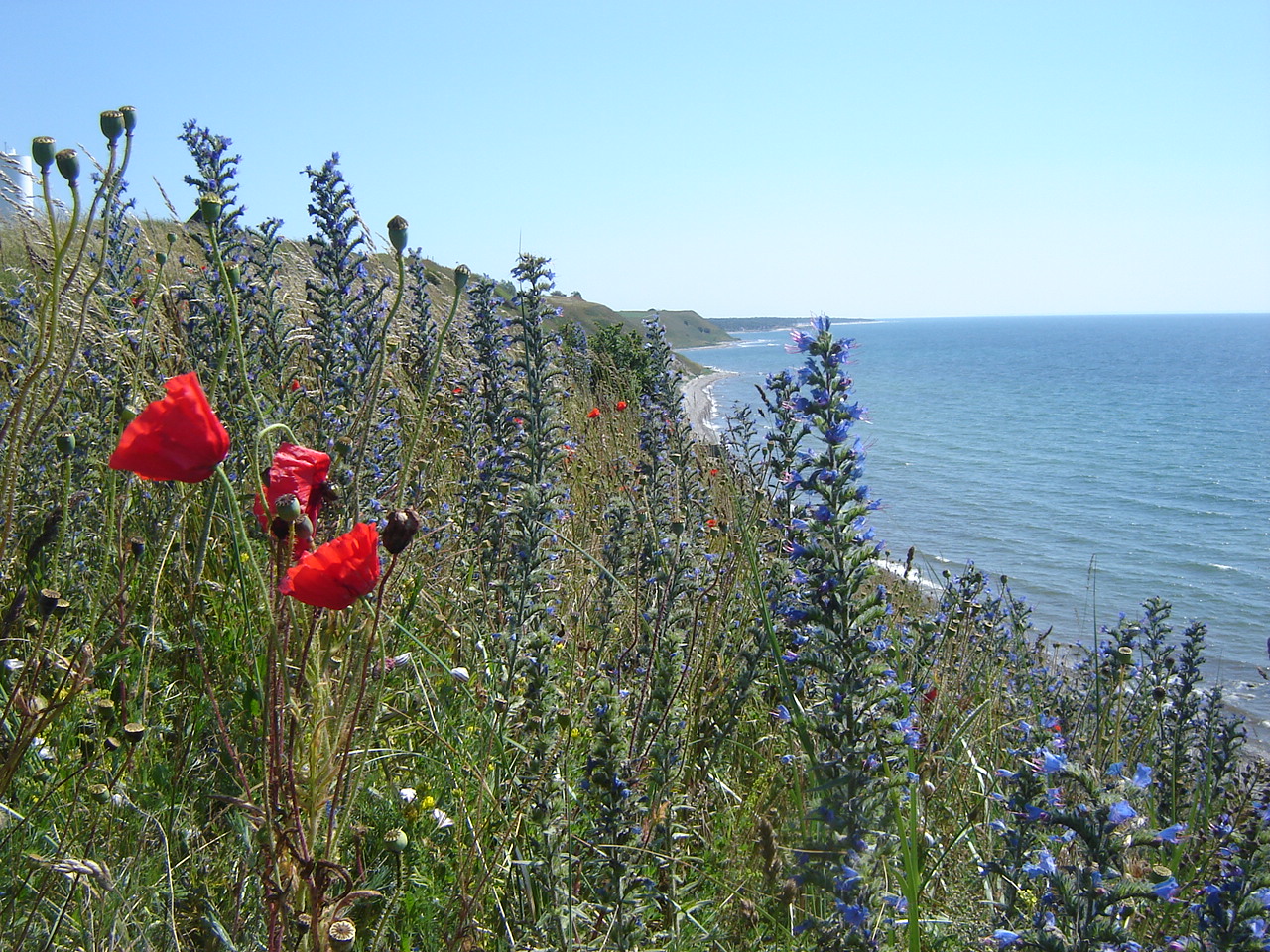 Skånska Resor: Skånska sommarbilder