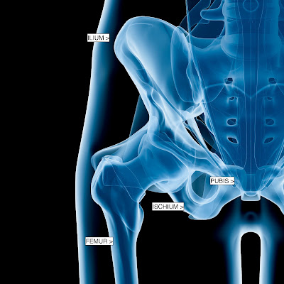 anatomy4fitness: IT'S ALL IN THE HIPS