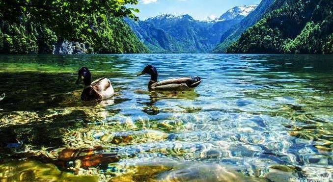 जलीय बायोम (Aquatic Biome)- Jaliy Bayom का अर्थ एवं Jaleey Bayom के ...