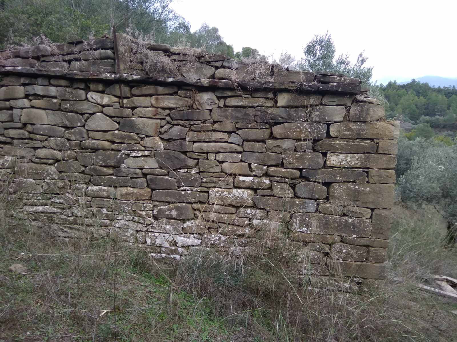 Παρακαμπύλια Νέα