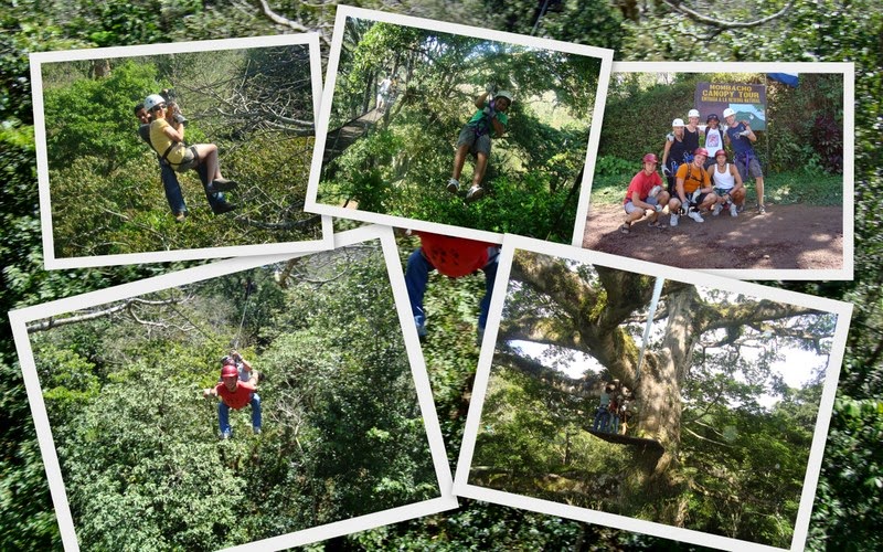 Vuela entre los arboles realizando Canopy en la cima del Volcan Mombacho
