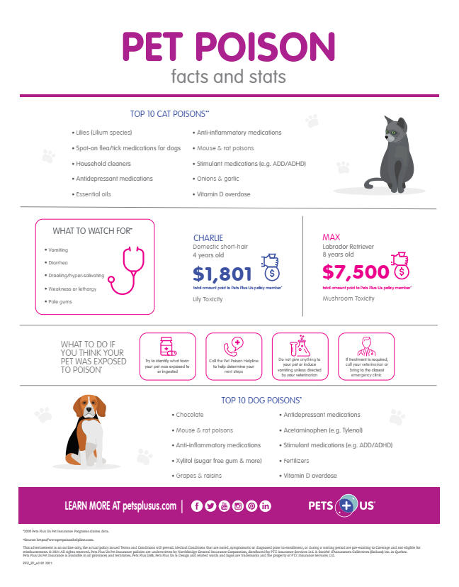 March is Pet Poison Awareness Month: Common household pet toxins | Paws ...