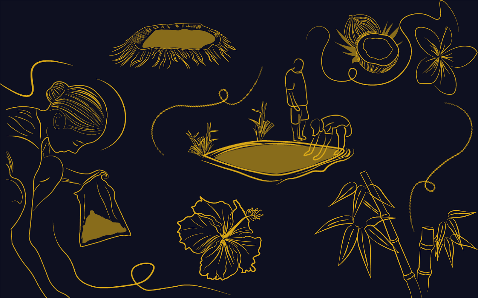 Native – Packaging Of The World