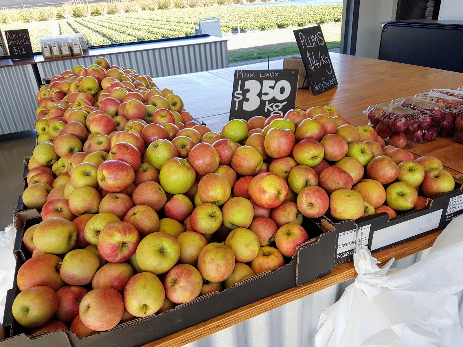 【墨尔本景点】墨尔本亲子游@Day2 秋末在 Naturipe Fruits 果园採苹果和草莓 - 吃喝玩乐旅宝妈 LOVELYBAO123 ...