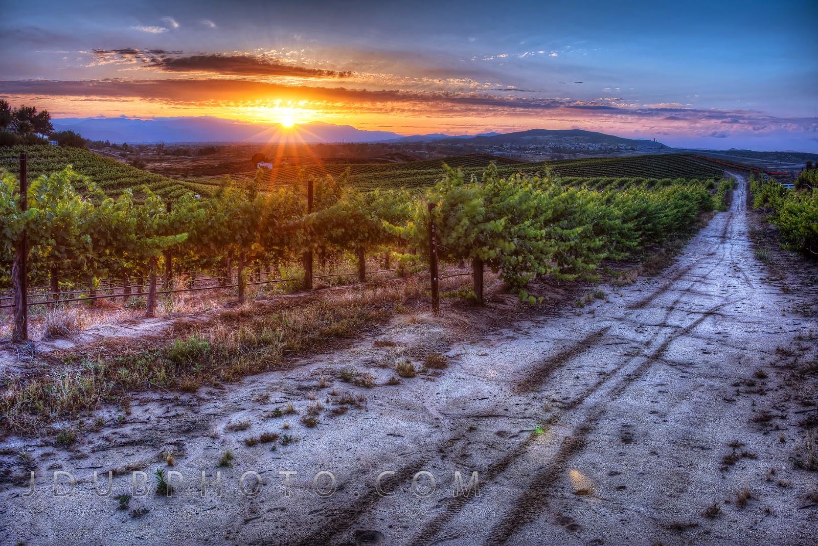 Temecula Vineyard Sunset