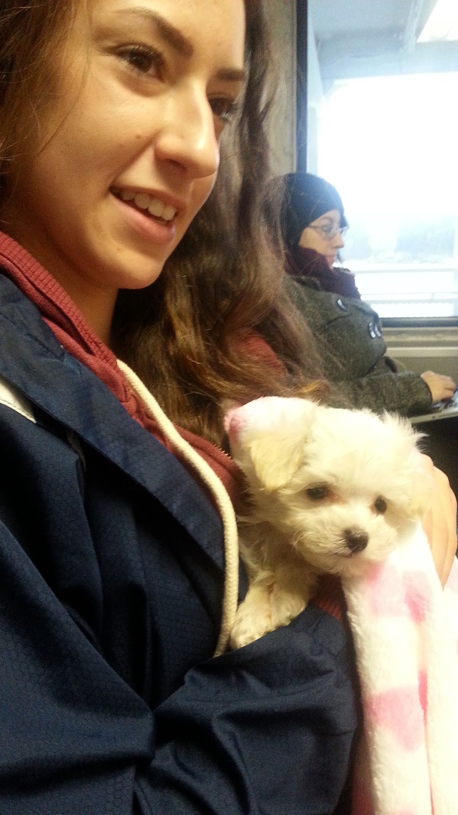 ALS Can Kiss My A$$ by Lisa Ruffolo